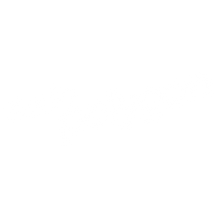 Store | Studio Polygon