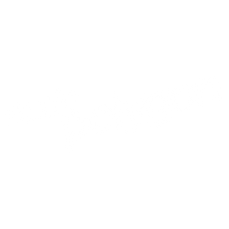 Products – Studio Polygon