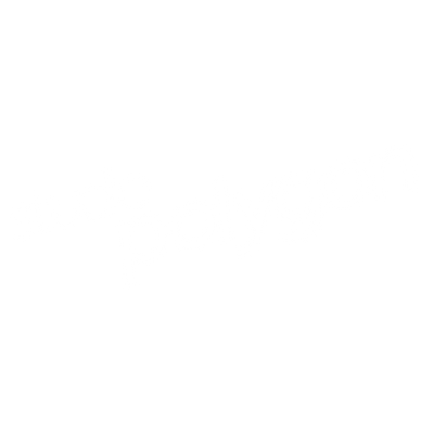 Products – Studio Polygon